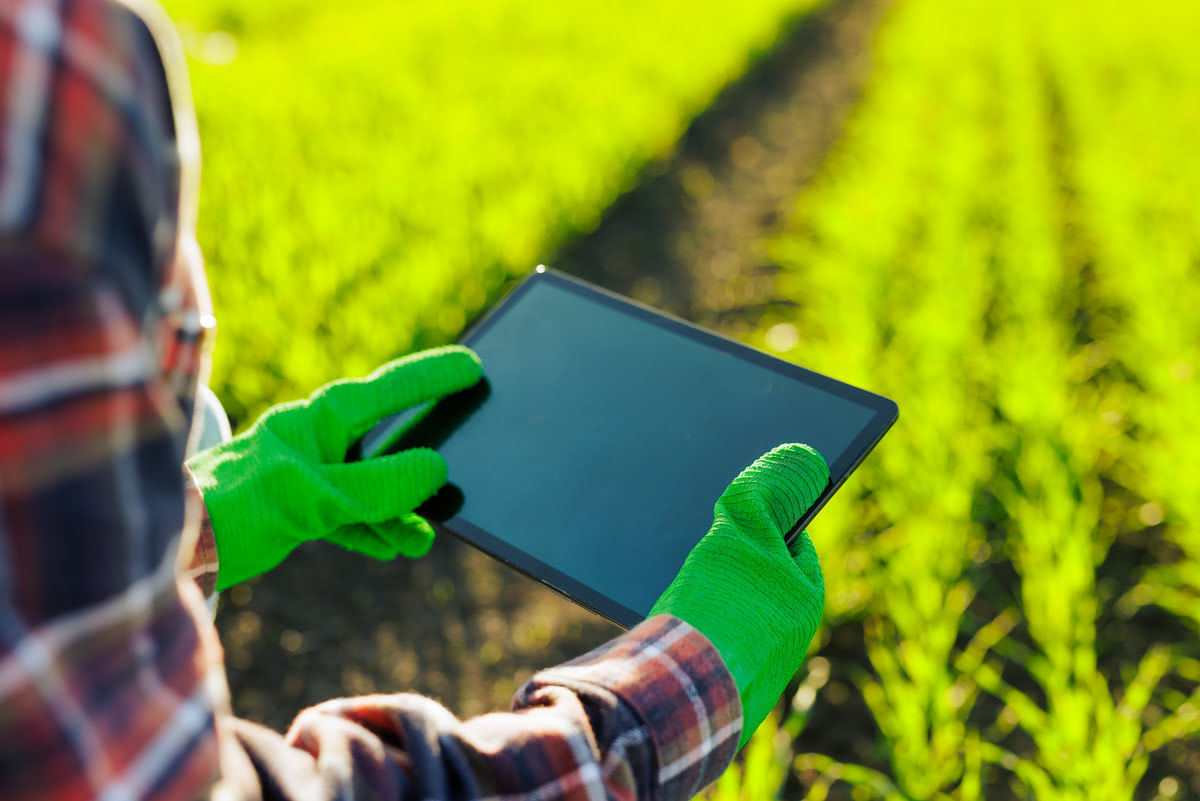 Innovación y transformación digital: ¿Qué es y por qué vale la pena invertir en ella? - Naranjo ...